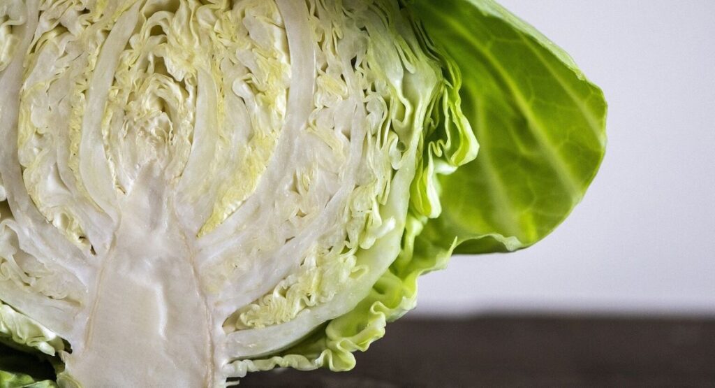 11 Beneficios del repollo o col cerrada
