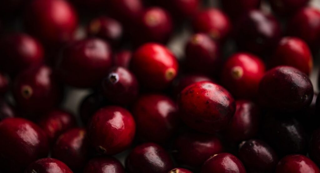 6 Propiedades de los arándanos rojos para la salud