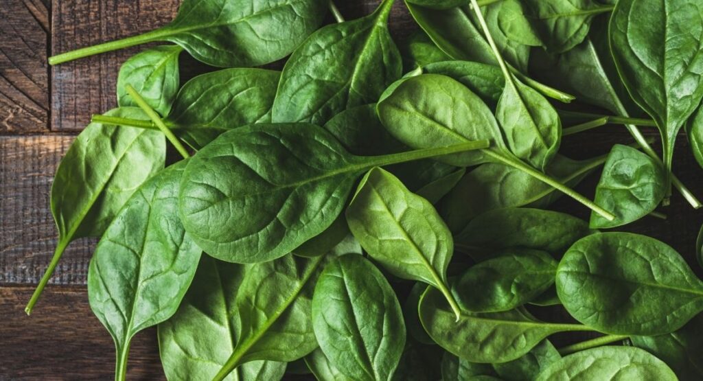 11 Propiedades De Las Espinacas Para La Salud