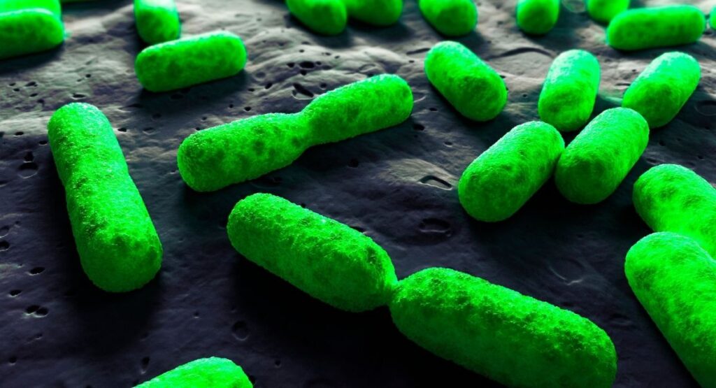 Eructos continuos: 15 posibles causas